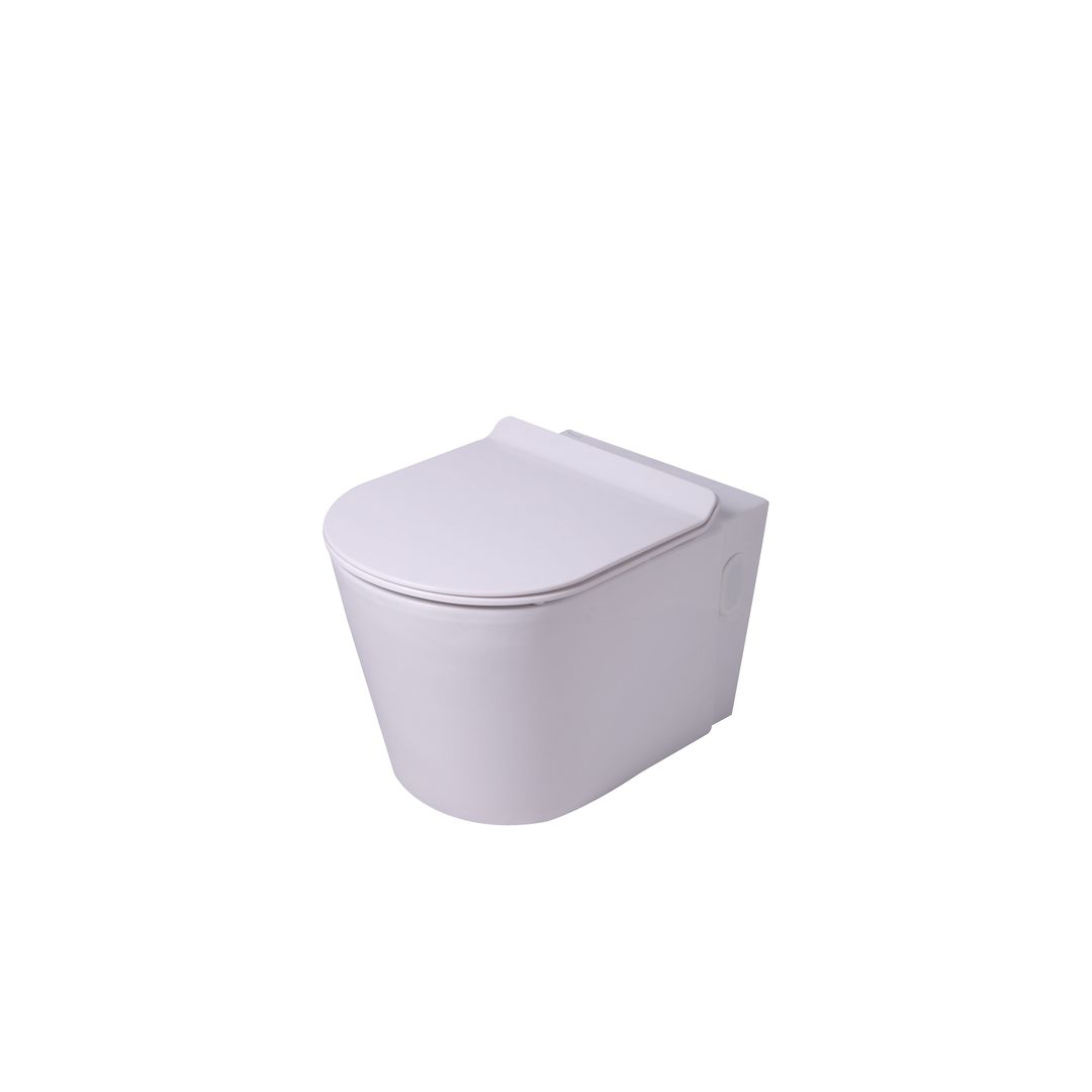 Vaal - Entice - Toilets - Wall-Hung - White | Lixil Africa